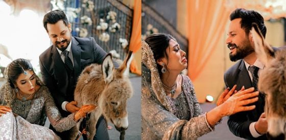 Pakistani YouTuber Gifts a Donkey to Wife for Wedding | DESIblitz